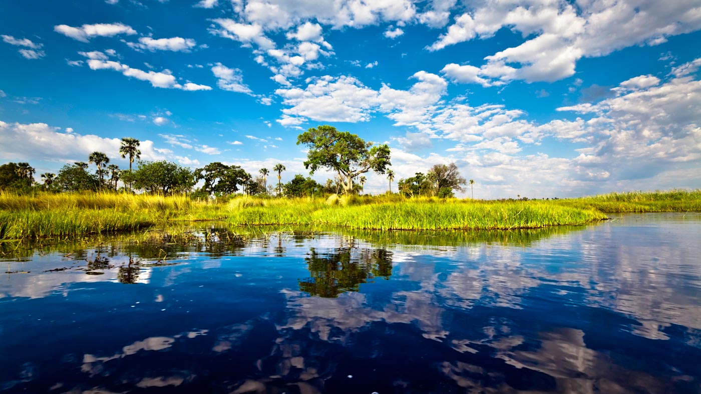 Custom Engagement Rings & Fine Jewelry Chicago – Lester Lampert